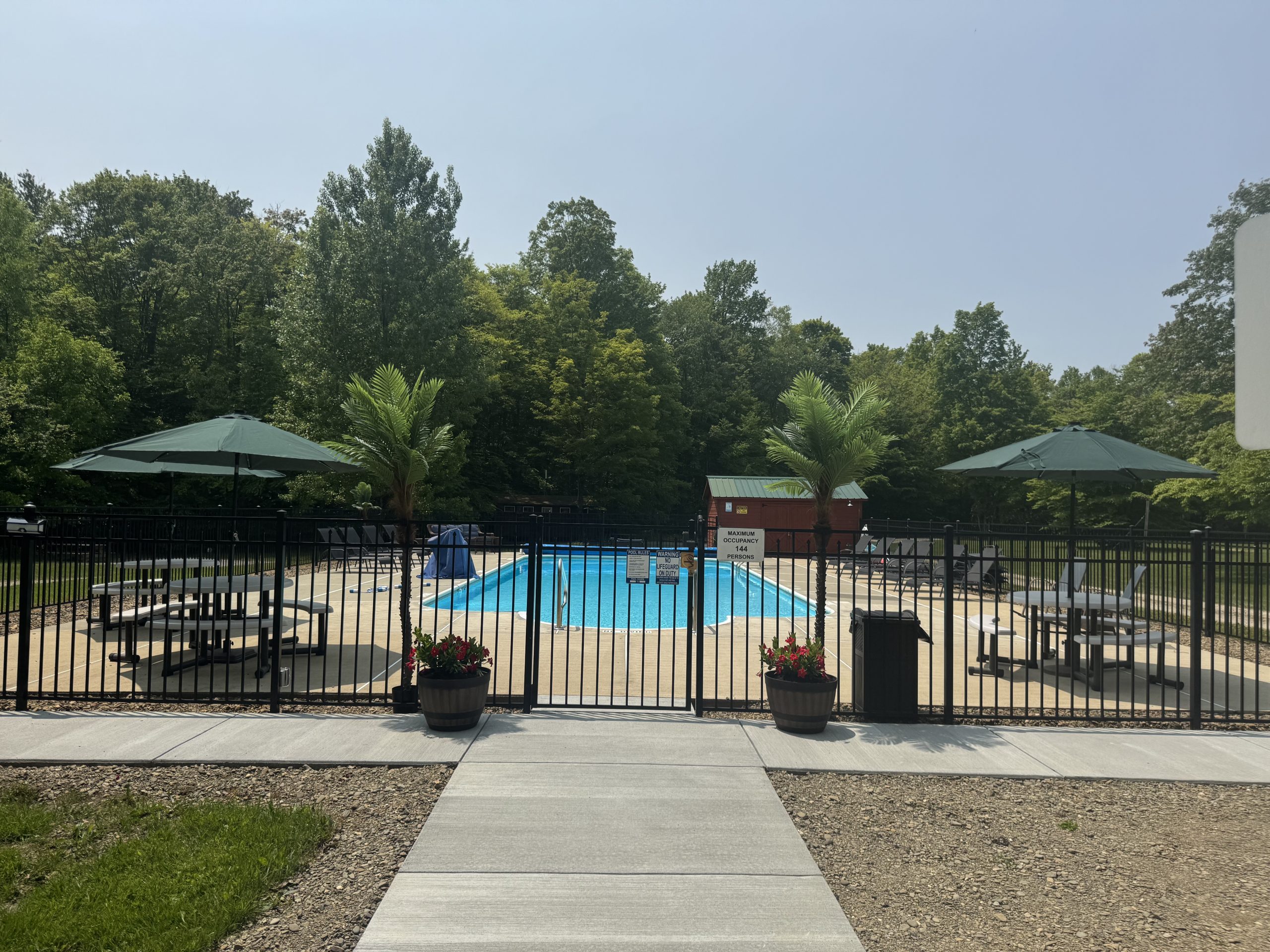 Swimming Pool - Forest Ridge Cabins Campgrounds Cook Forest Allegheny PA